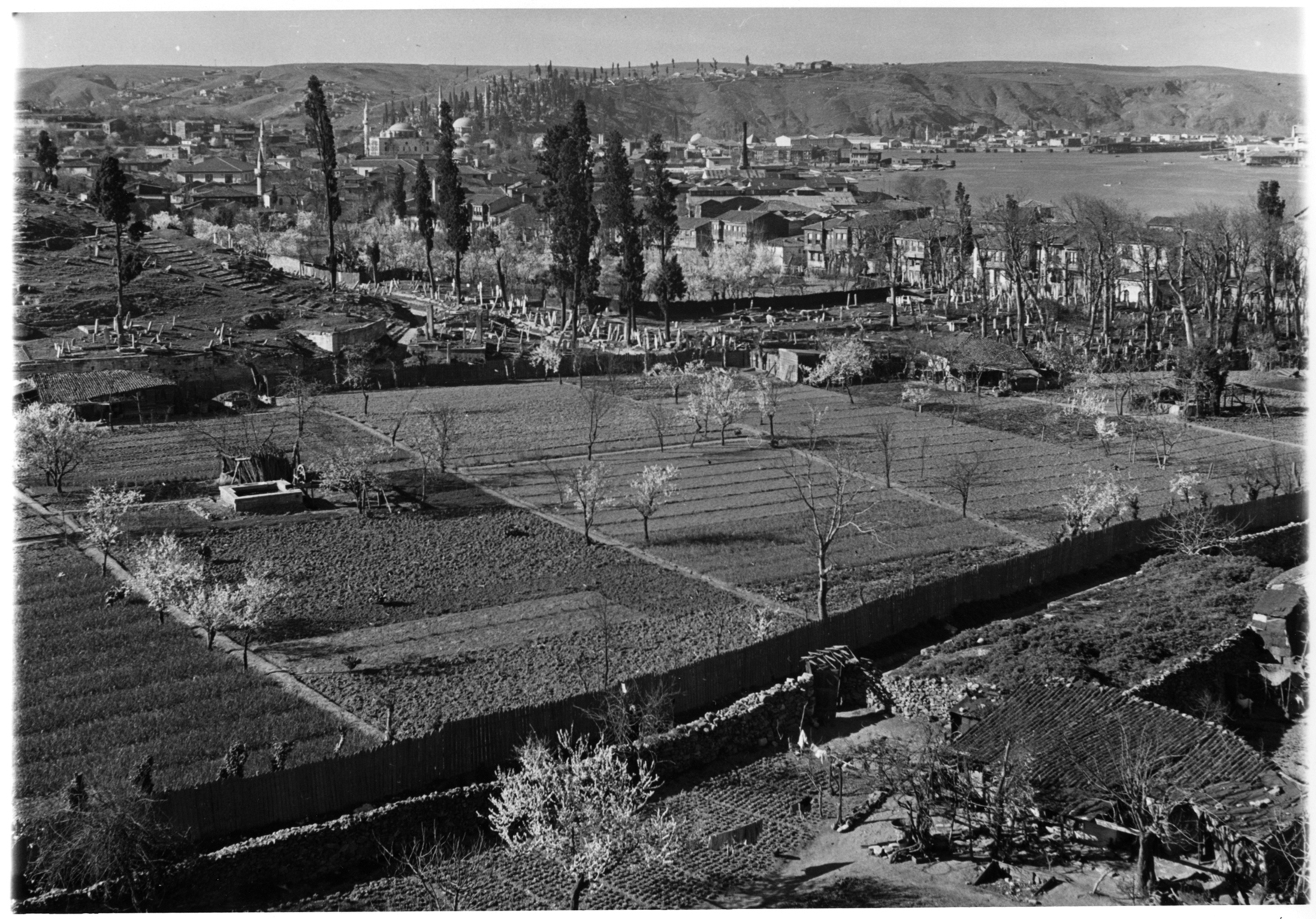 City and Agriculture | Studying and Preserving the Historic Gardens of ...